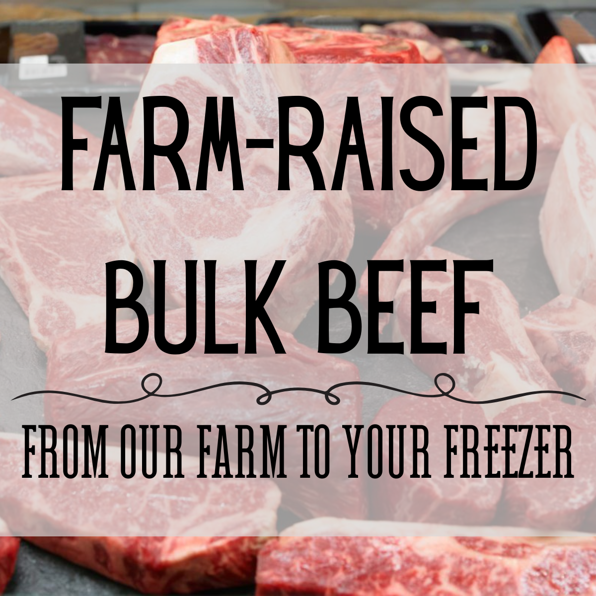 Bulk Beef – Hawksbill Peak Farms